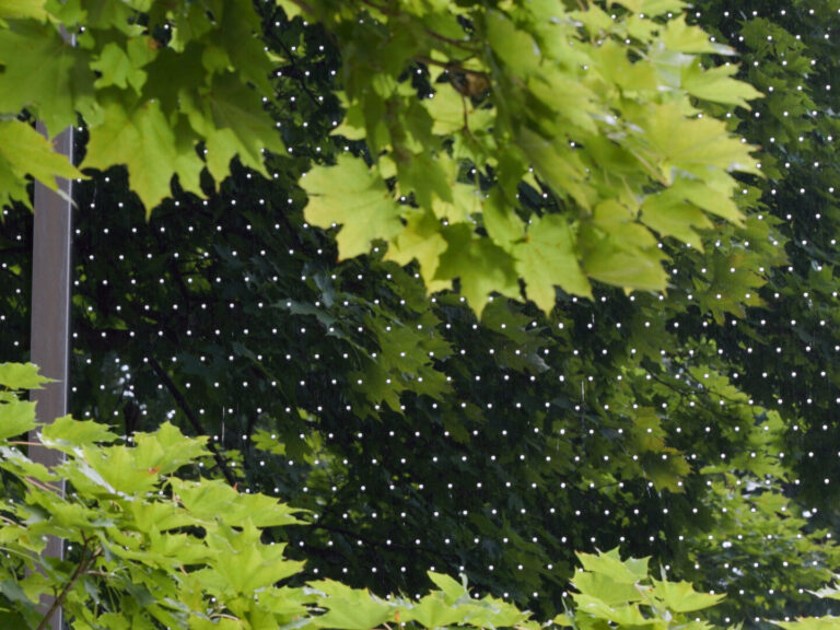 Bird Collision Prevention Alliance