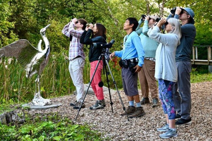 Bird Collision Prevention Alliance