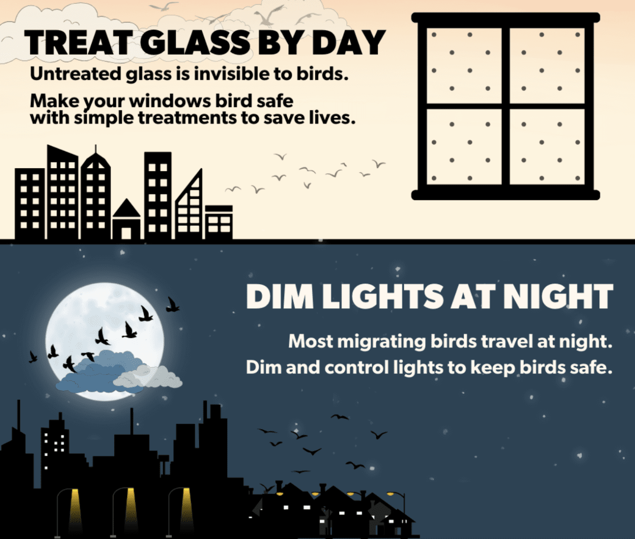 Make Existing Glass Safe For Birds | Bird Collision Prevention Alliance