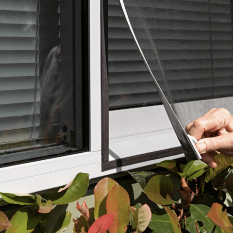 Make Existing Glass Safe For Birds | Bird Collision Prevention Alliance