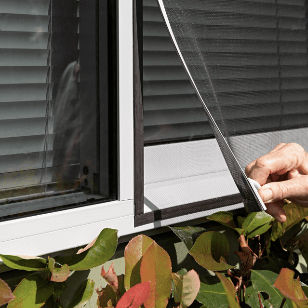 Make Existing Glass Safe For Birds | Bird Collision Prevention Alliance