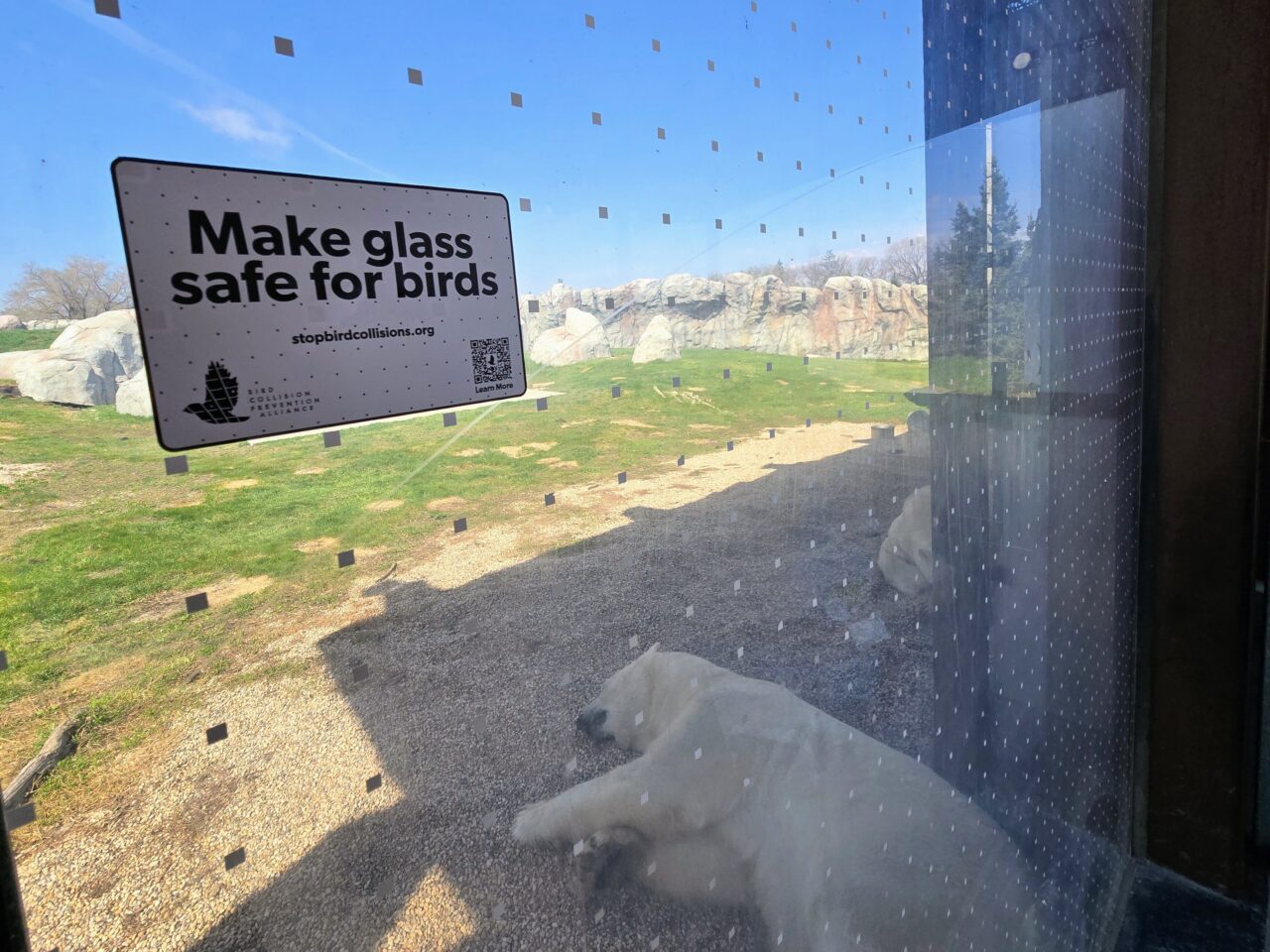 North American Zoos Install BCPA QR Code Decals | Bird Collision ...