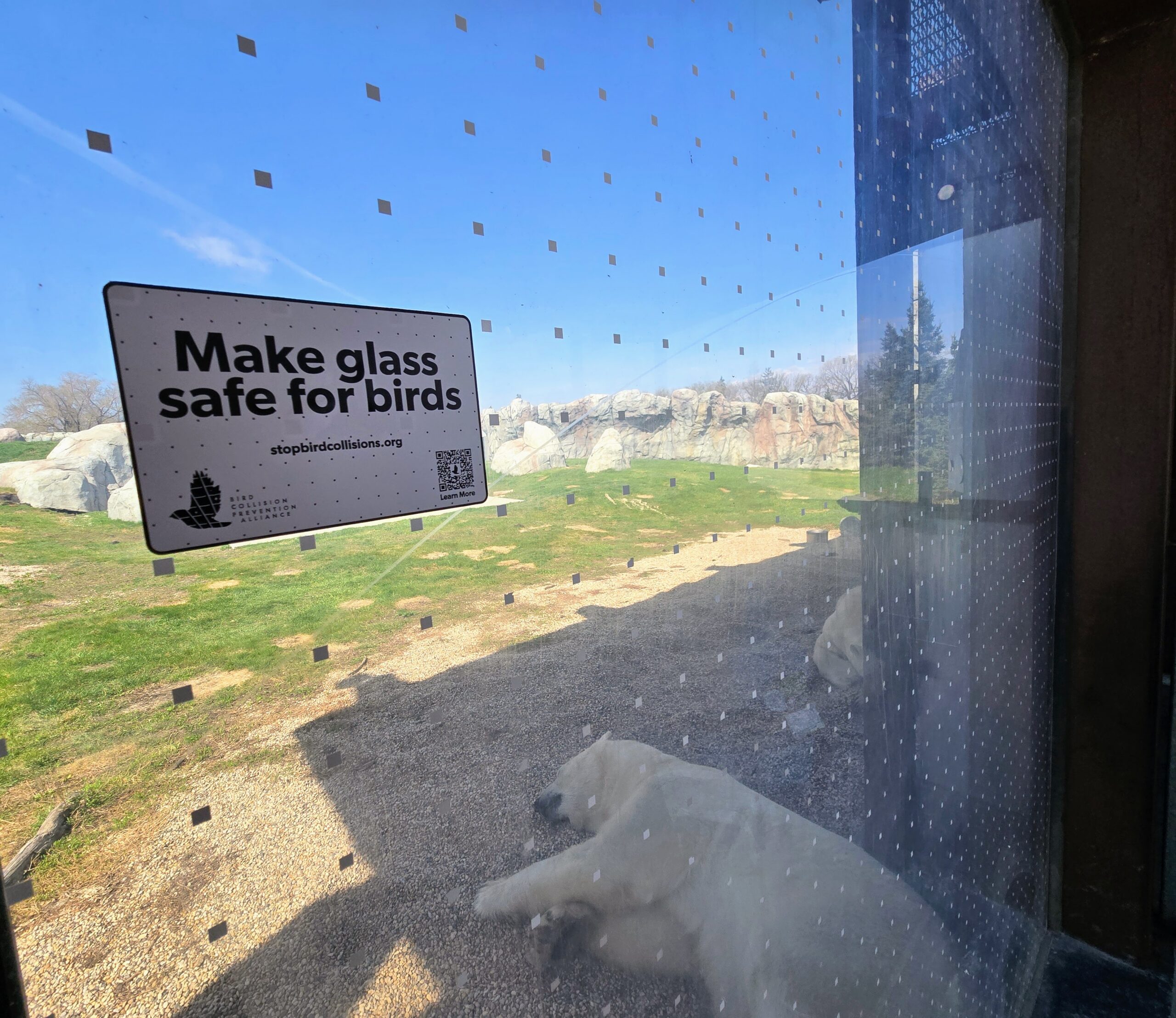 North American Zoos Install BCPA QR Code Decals | Bird Collision ...